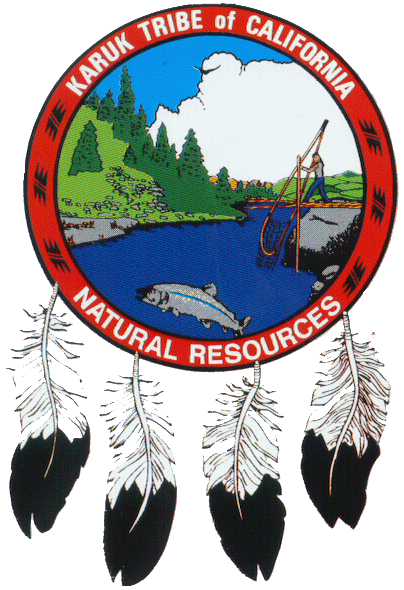 Restoration Partners – State of Salmon
