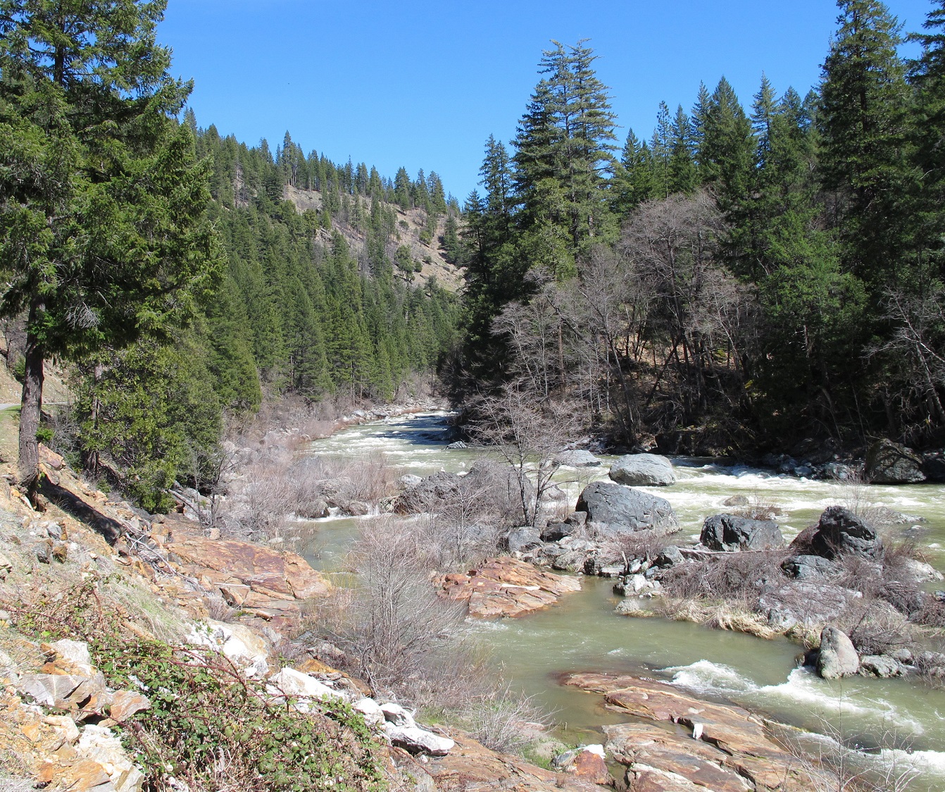 State of Salmon – in California